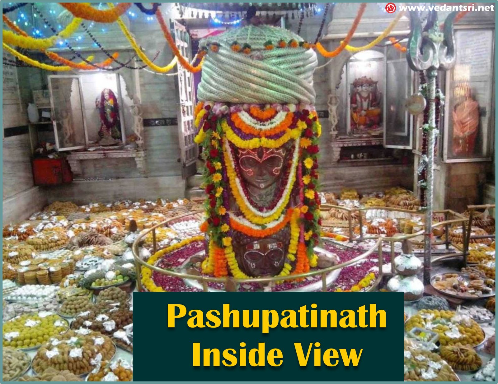 Inside Pashupatinath Temple Celebrating The 'Great Night Of Shiva' In